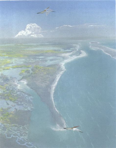 白垩纪晚期的恐龙 恐龙 图片