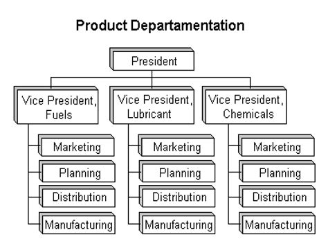 Organizational Structure Ppt Pptx