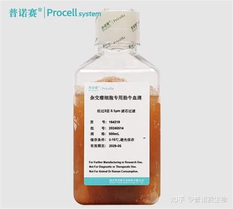 杂交瘤细胞培养利器：杂交瘤细胞专用胎牛血清，融合提升细胞成功率 知乎