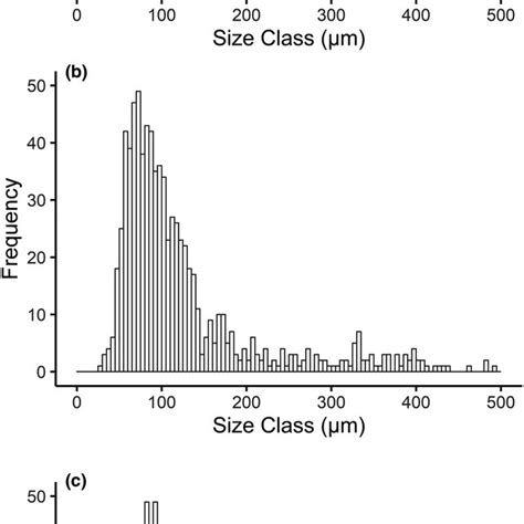 Ctenodiscus Crispatus Oocyte Sizefrequency Histograms A Oocyte