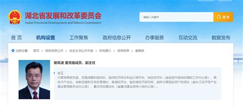 副厅级官员任湖北一国企董事长凤凰网湖北凤凰网