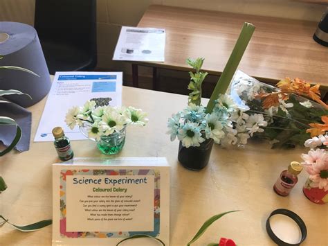 Science Week Experiments Science Week Experiments