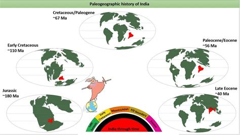 Fossil Pollen Microscopic Windows Into The Planets Geological Past Wildlife Conservation Trust