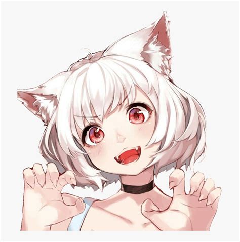 Nekokawaii Nekogirl Animegirl Animekawaiigirl Sticker Cat Anime