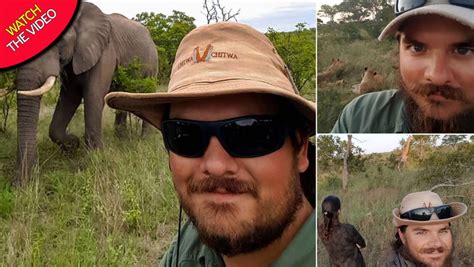 Man Dies In Girlfriends Arms After Being Gored By Elephant In Safari