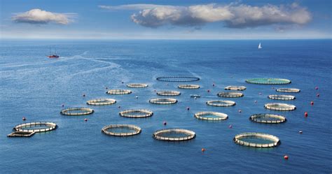 2023年是海洋最热的一年我们该怎么理解 土木在线