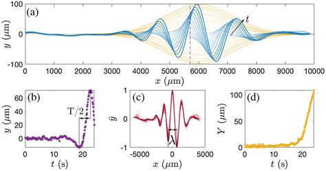 Fiber Deformation Characterization A Blue Superposition Of The