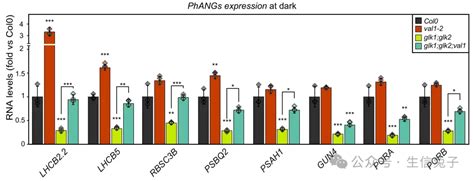 跟着nature学作图 多分组基因表达量散点柱状图绘制，附文章数据链接 知乎