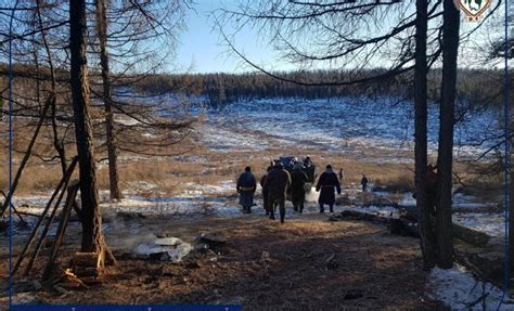 Хилчид хууль бусаар самар түүж байсан 11 иргэнийг илрүүлжээ ТАС МН