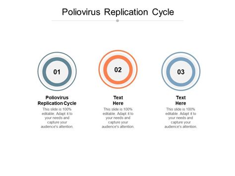 Poliovirus Replication Cycle Ppt Powerpoint Presentation Pictures Diagrams Cpb Presentation