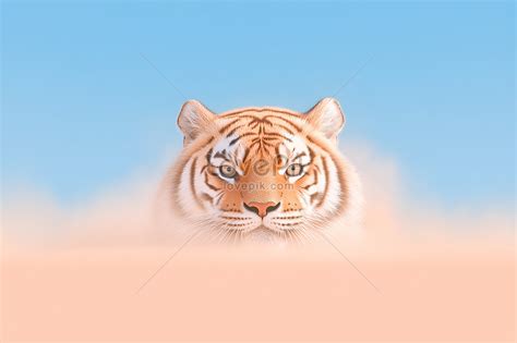 사막의 호랑이 일러스트 무료 다운로드 Lovepik