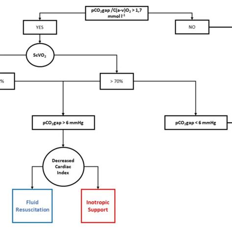 Hemodynamic Algorithm Based On Pco 2 Gappa Vo 2 Ratio Rbc Red