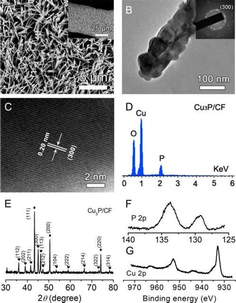 A Sem Images B Tem Image C Hrtem Image D Edx Spectrum E