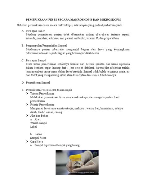 Pemeriksaan Feses 1 Pdf