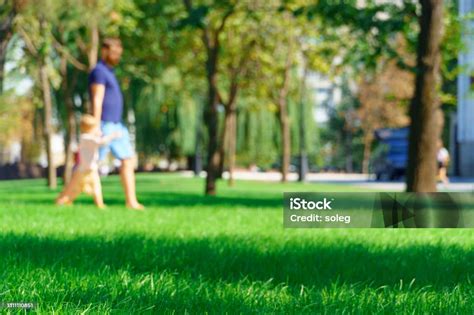 여름날 잔디와 나무가 있는 녹색 잔디밭 길과 벤치 밝은 햇빛과 그림자가 있는 도시 공원에서 놀고 있는 사람들 가족에 대한 스톡 사진 및 기타 이미지 Istock