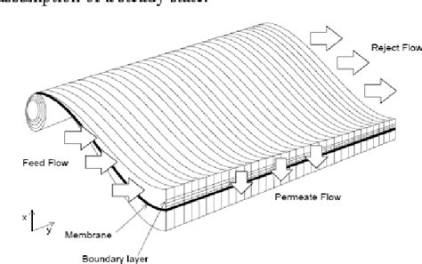Figure 1 From Two Scale Modelling Of Concentration Polarization In A Reverse Osmosis Membrane