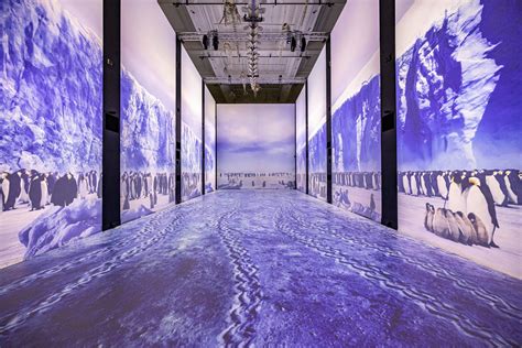 Museum Immersion Room Reveals Grandiose Beauty Of Poles