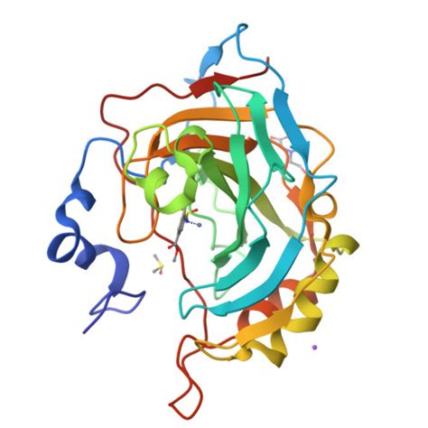 Rcsb Pdb 9fpt Crystal Structure Of Carbonic Anhydrase Ii With Methyl 4 Chloro 3 Sulfamoyl