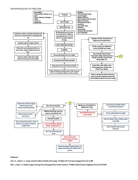 Pathophysiology Of Fracture Pdf Bone Major Trauma