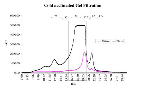 8 Size Exclusion Chromatography Using Superdex™ 200 10300 Gl At Room Download Scientific
