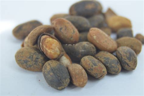 Королевское семечко