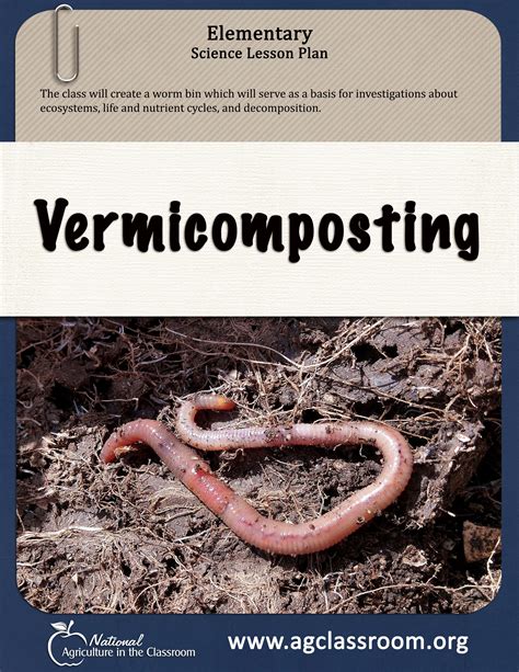 Create A Classroom Worm Bin Artofit