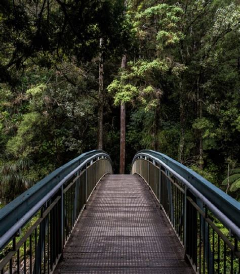 Mainframe Abends And Solutions Srinimf