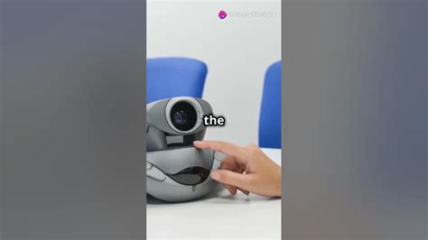 Unlock Excels Hidden Camera Tool For Interactive Reports Exceltips Excelfunction Dasboard