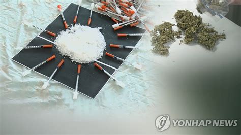 마약중독자 사회적 지지 받으면 심각성 30％ 감소 나무뉴스