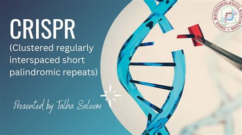 Crispr Clustered Regularly Interspaced Short Palindromic Repeats