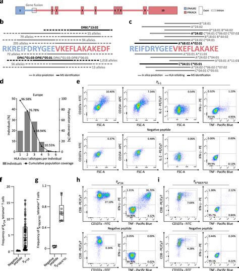 Prediction Of DNAJB1 PRKACA Fusion Protein Derived HLA Class I And HLA