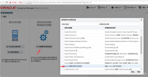 oracle enterprise manager cloud control 13c部署文档（五）——添加集群数据库目标监控 emc13c