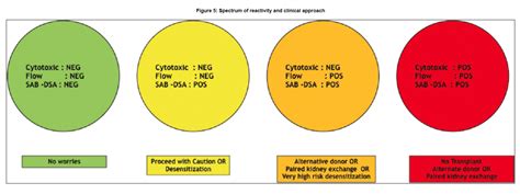 Journal Ii An Update On Crossmatch Techniques In Transplantation Fellowship Programme In