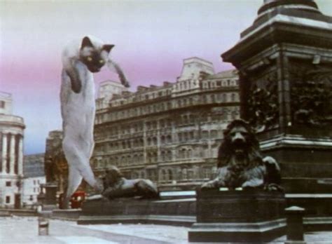 monty python s flying circus how to recognise different types of trees from quite a long way