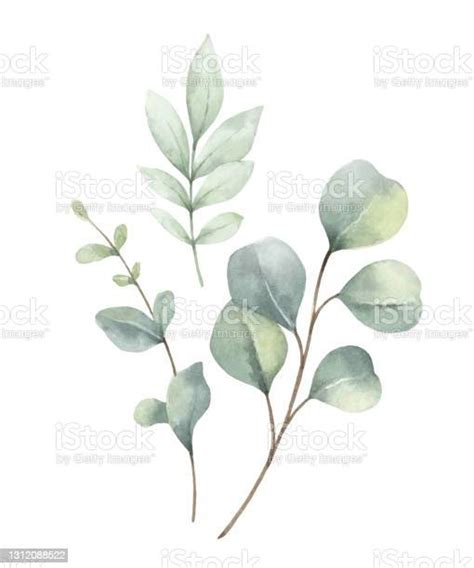 녹색 가지의 수채화 벡터 배열과 흰색 배경에 격리 된 잎 꽃손은 인사말 카드 결혼 초대장 텍스트 등을위한 공간이있는 배너를 위해 그림을 그렸습니다 수채화에 대한 스톡 벡터