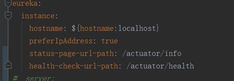 APOLLO 接入springboot admin actuator的问题 Issue apolloconfig apollo GitHub