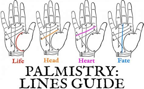 How To Read Palm Lines — Beginner Palmistry Guide By Iva India Medium