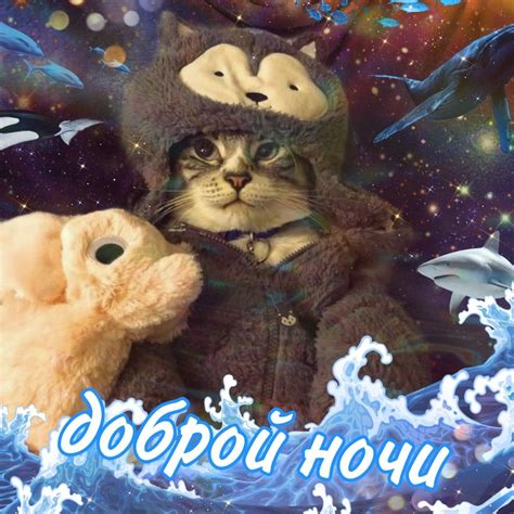 Доброй ночи Ночь Котята Смешные открытки
