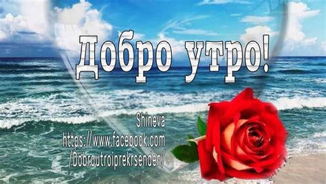 Уловени мигове от света на Кати ТИХА И СПОКОЙНА НОЩ ВИ ПОЖЕЛАВАМ ПРИЯТЕЛИ Facebook