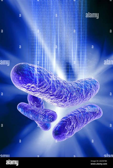 Bacterial Computing Conceptual Artwork Escherichia Coli Bacteria Centre With Binary Code