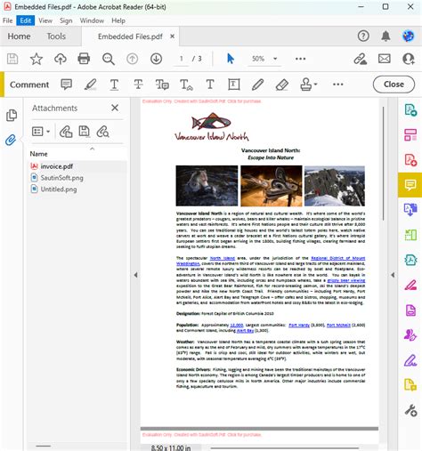 Extracting Embedded Content From Pdf Files With C And Net