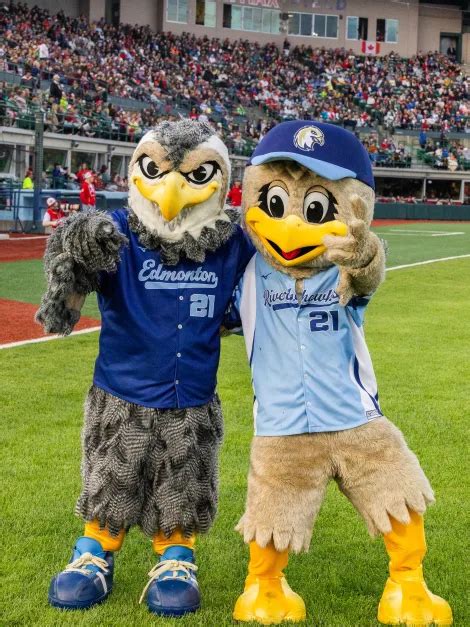 Edmonton Riverhawks Baseball Club