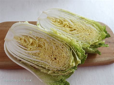 알배추 겉절이 만드는법~배추김치