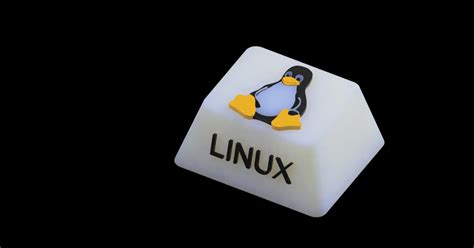 Linux Keycap By Nxrichi Download Free Stl Model