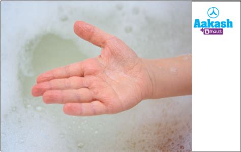 Plasmolysis In Biology Definition Types And Importance Of Plasmolysis