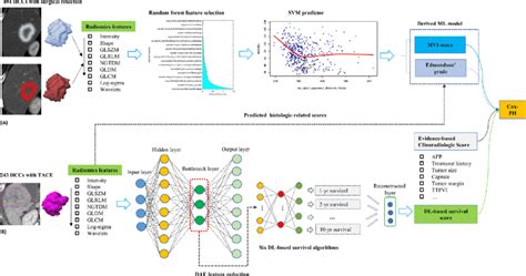 Overall Workflow Of A A Rf Feature Selection And A Svm Predictor Used