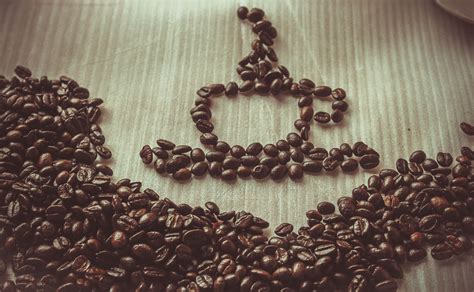 무료 이미지 카페인 갈색 식품 Java Coffee 식물 콩 자메이카 블루 마운틴 커피 Kapeng Barako
