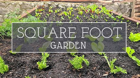 Cómo Organizar Un Huerto Aprovechar El Espacio Squarefootgarden