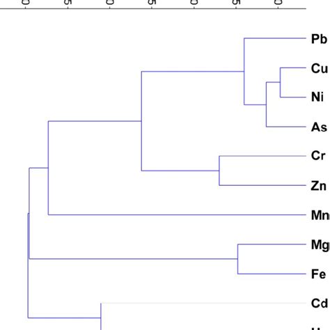 dendrogram derived from hierarchical cluster analysis hca of the