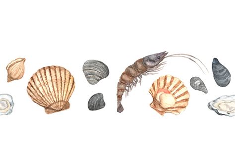 해산물과 수평 반복 패턴 새우 새우 홍합 굴 가리비 조개껍데기 레스토랑 어업 카페 시장 상점 주방 섬유 요리 디자인 수채화 가리비에 대한 스톡 벡터 아트 및 기타 이미지